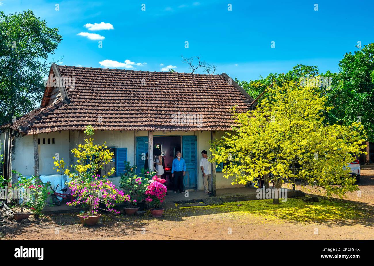 Scenic spring house morning with apricot trees bloom in front of ...