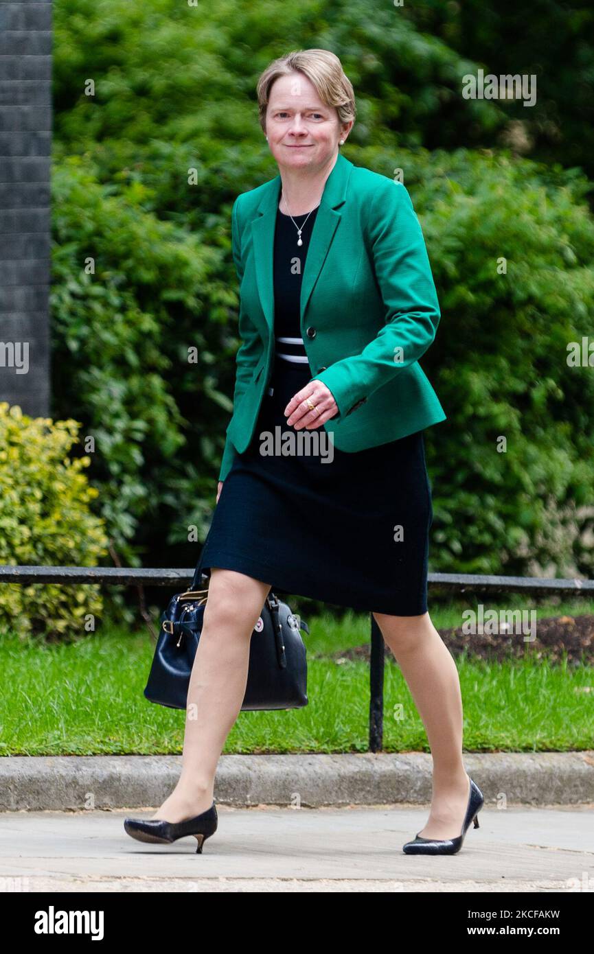 Dido Harding, executive chair of NHS Test and Trace enters Downing ...