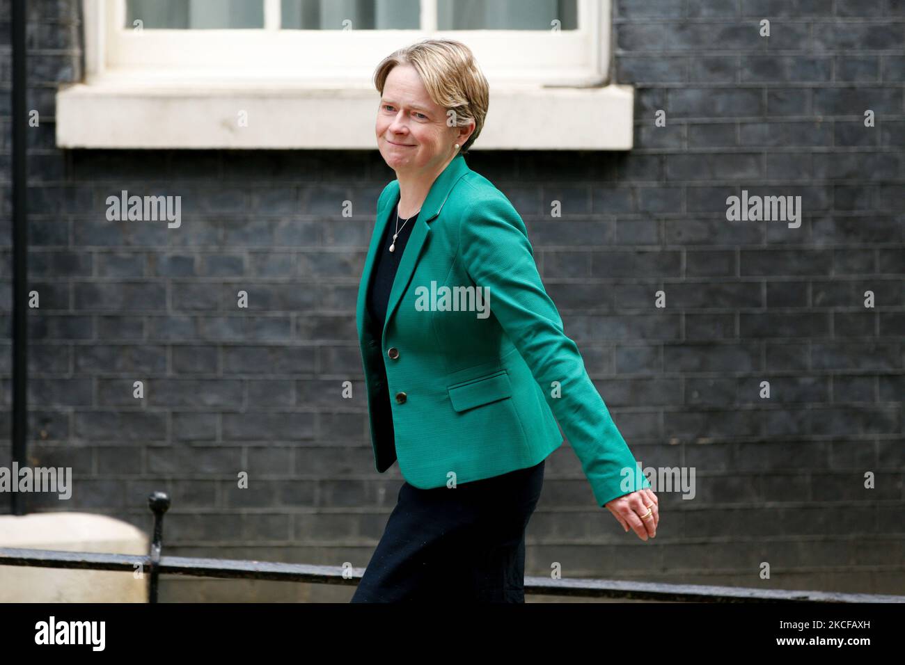 Dido Harding, Baroness Harding of Winscombe, former head of the NHS ...
