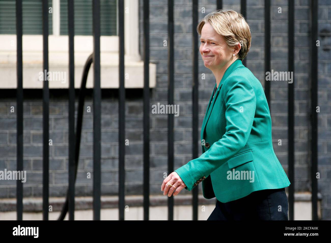 Dido Harding, Baroness Harding of Winscombe, former head of the NHS ...