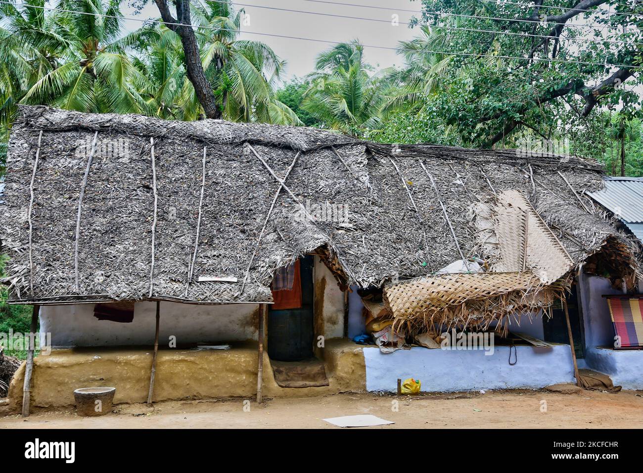 Traditional village home with a palm leaf thatched roof in Palani ...
