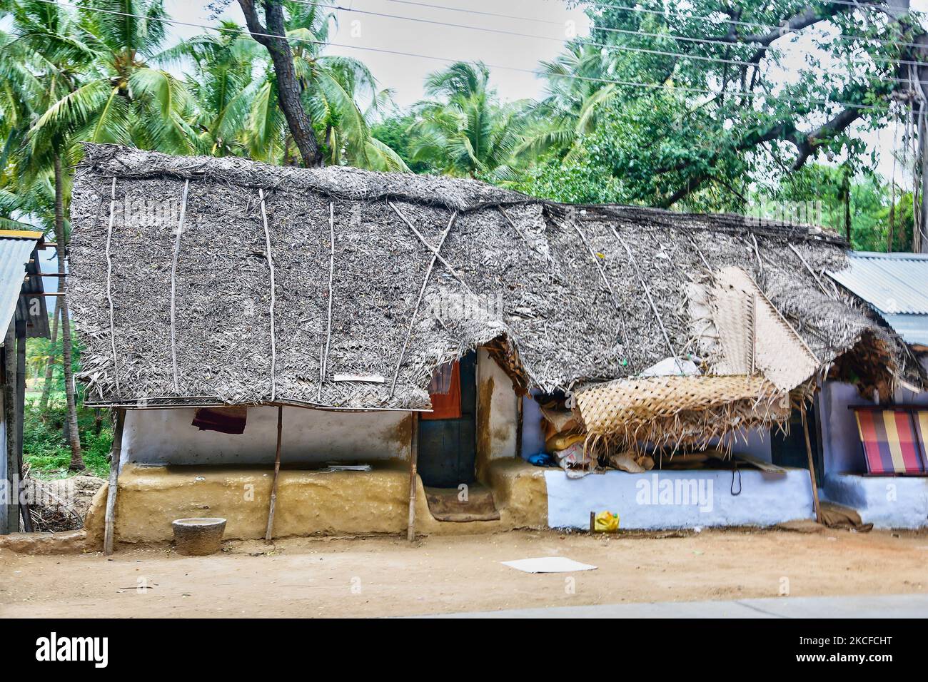 Traditional village home with a palm leaf thatched roof in Palani ...