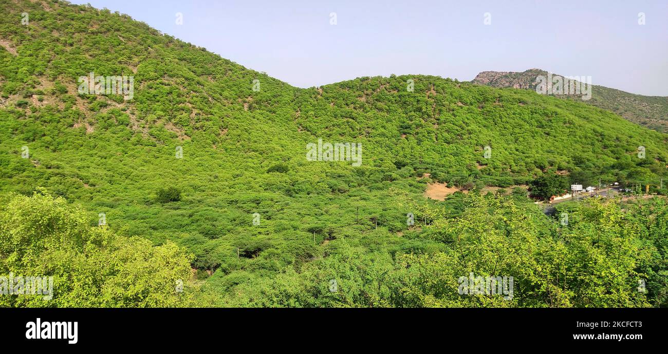 A View of Lush Green Valley of Pushkar in the Indian State of Rajasthan ...