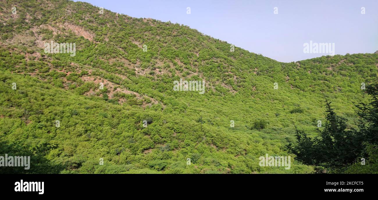 A View of Lush Green Valley of Pushkar in the Indian State of Rajasthan ...