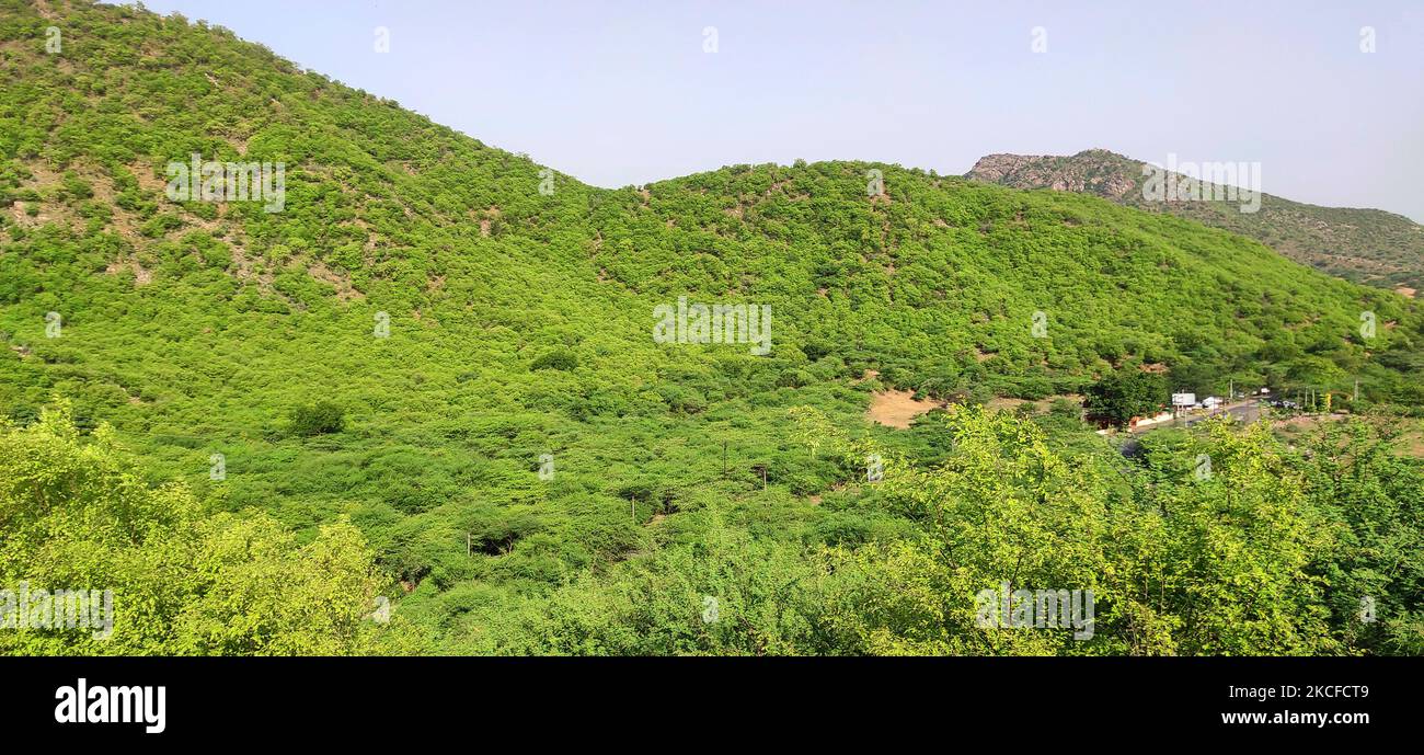 A View of Lush Green Valley of Pushkar in the Indian State of Rajasthan ...
