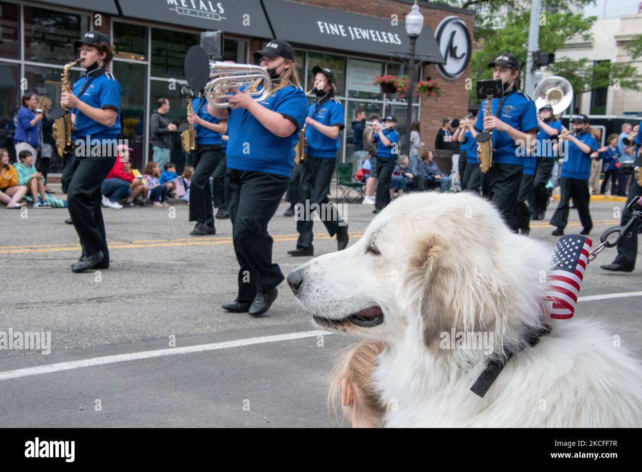 Members of the Royal Oak marching band play for the residents of Royal ...