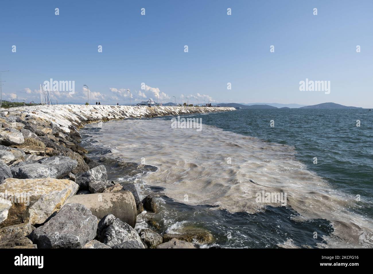 Photo shows sea saliva hi-res stock photography and images - Alamy
