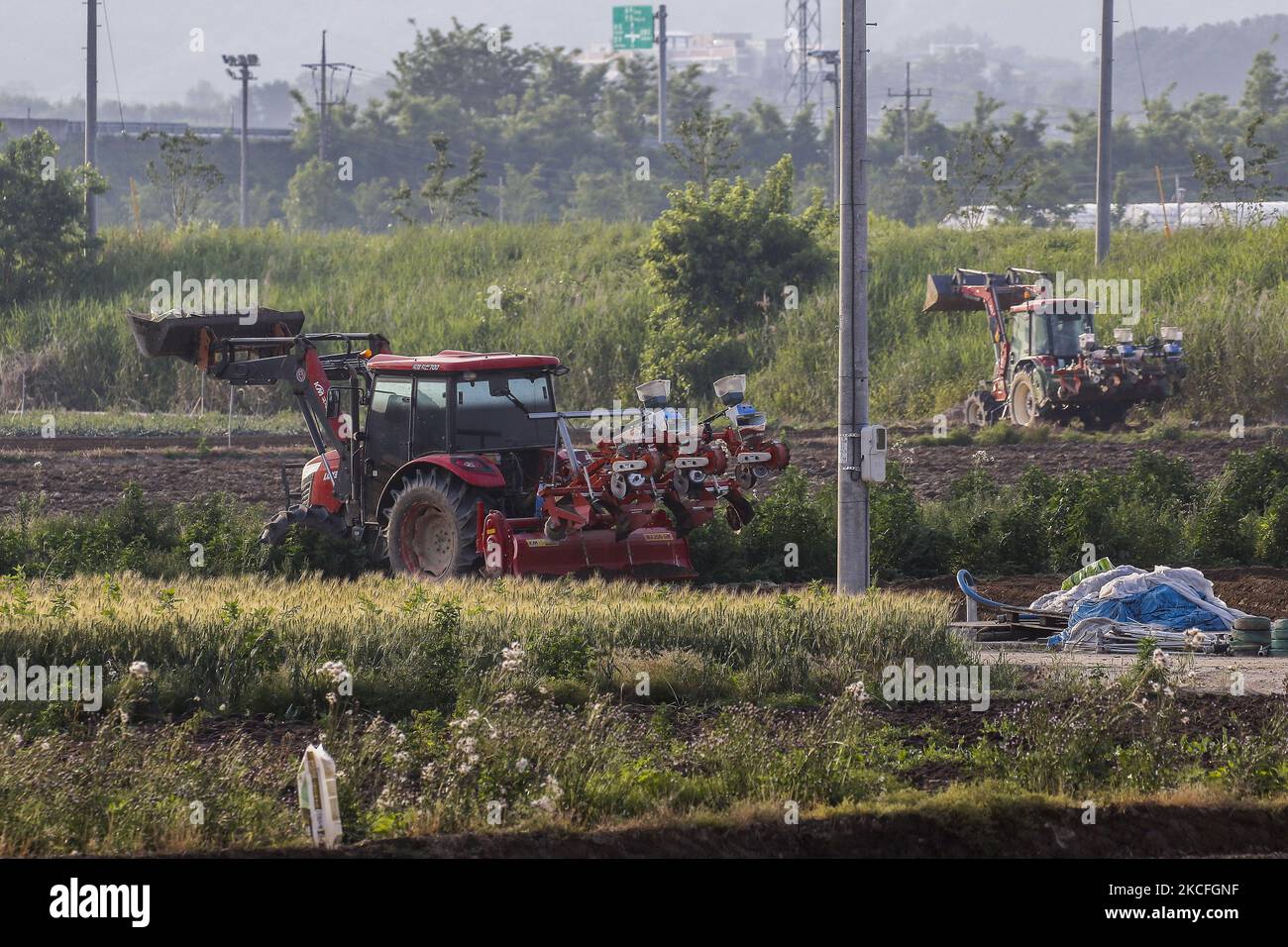 Farmer working their farm field in Sangju, South Korea on June 2, 2021 ...