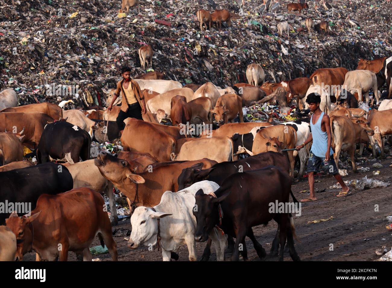 Boragaon dumping site hi-res stock photography and images - Alamy