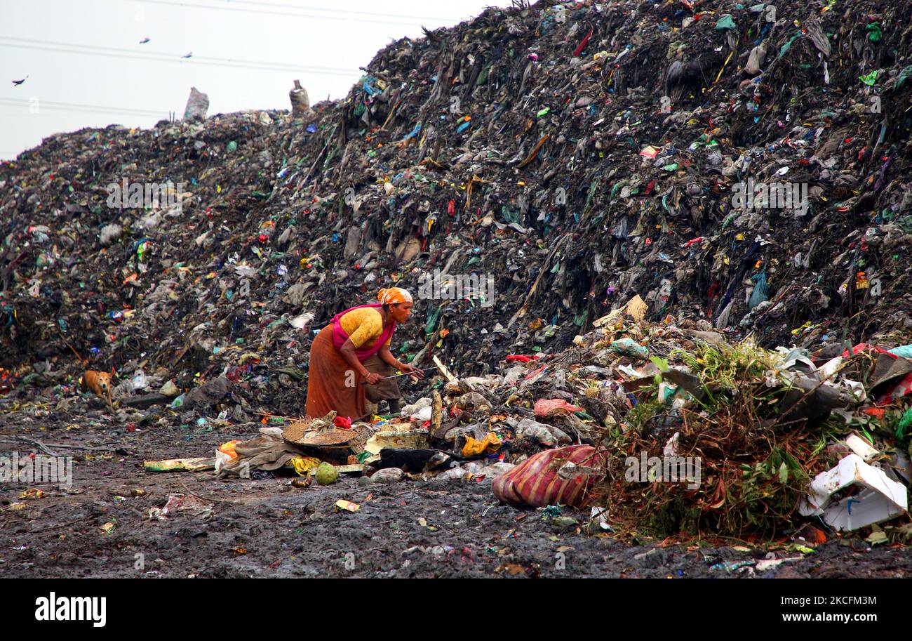 Normal instincts hi-res stock photography and images - Alamy