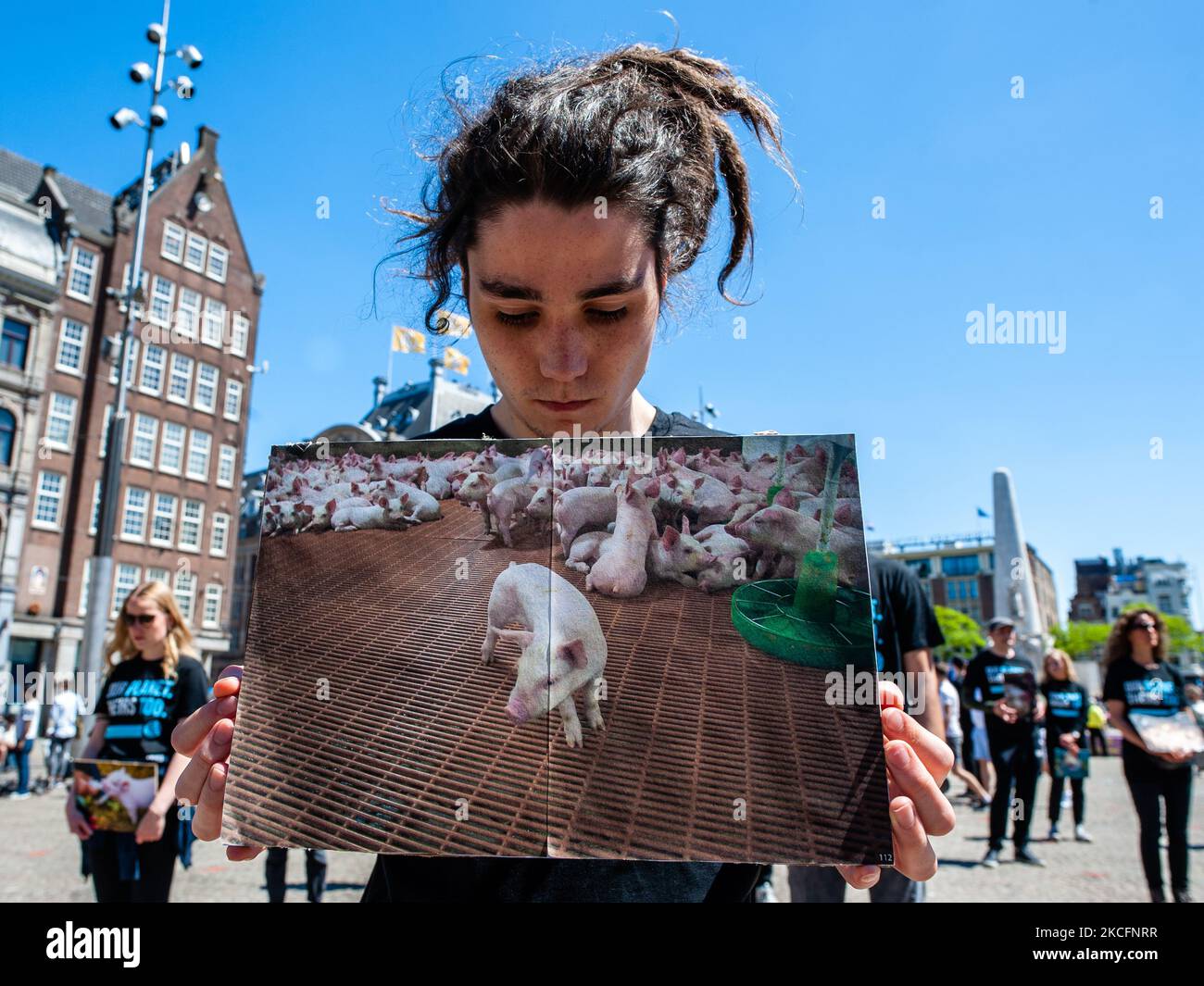 An animal activist is holding a picture of cruelty animal while holding ...