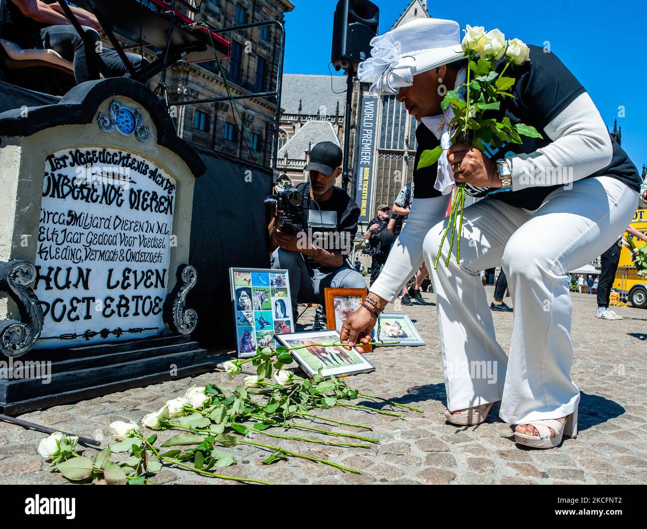 Animal activists are leaving white roses in front of a gravestone to ...