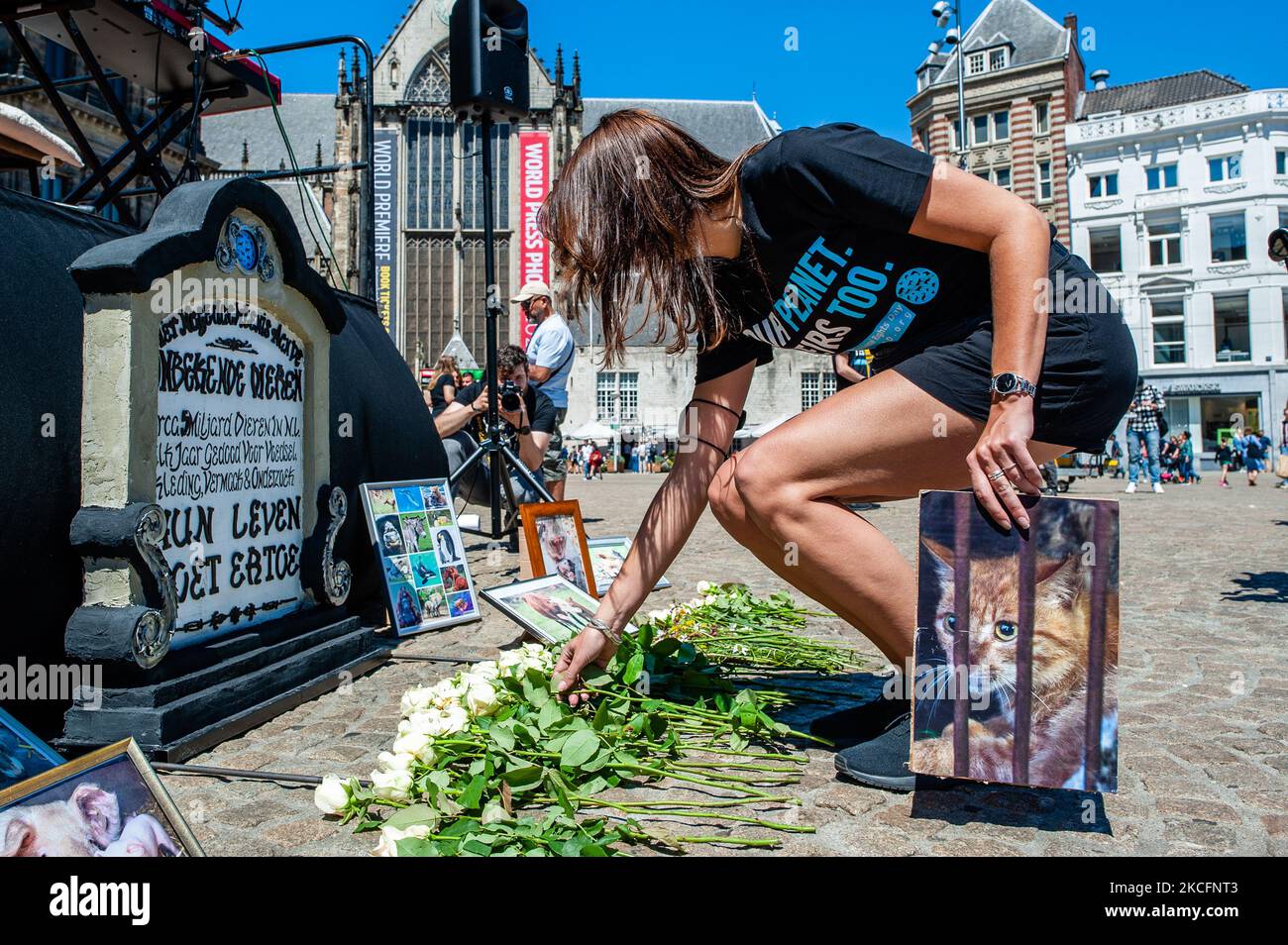 Animal activists are leaving white roses in front of a gravestone to ...