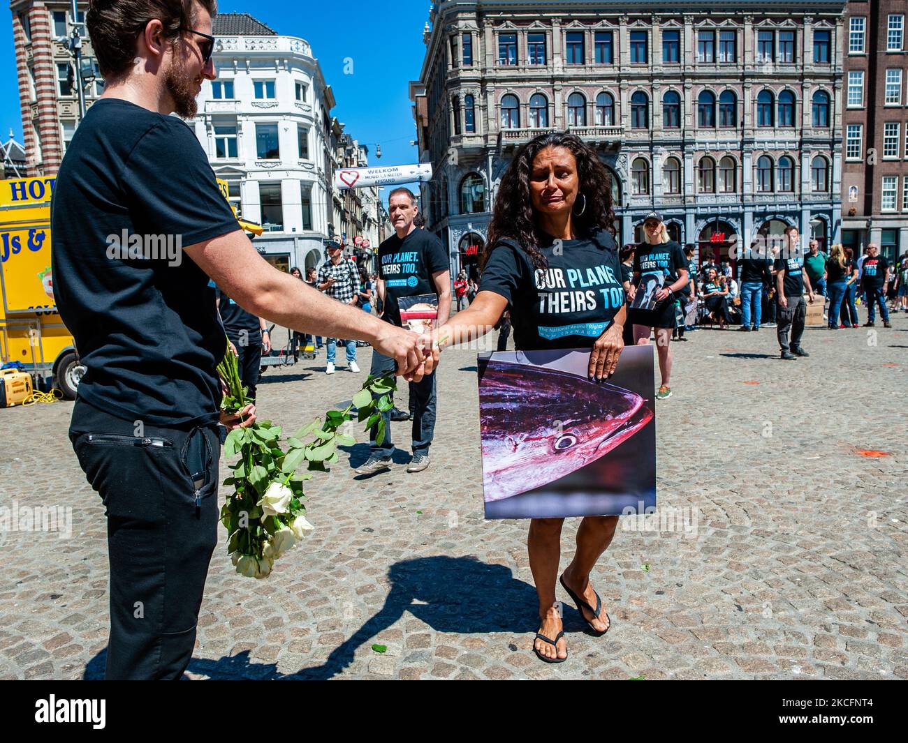 Animal activists are leaving white roses in front of a gravestone to ...