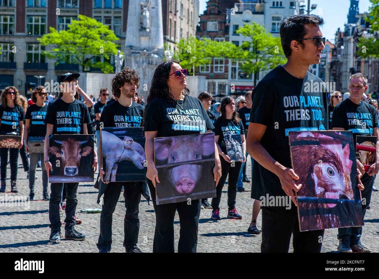 Hundreds of animal activists are holding pictures of animal cruelty ...