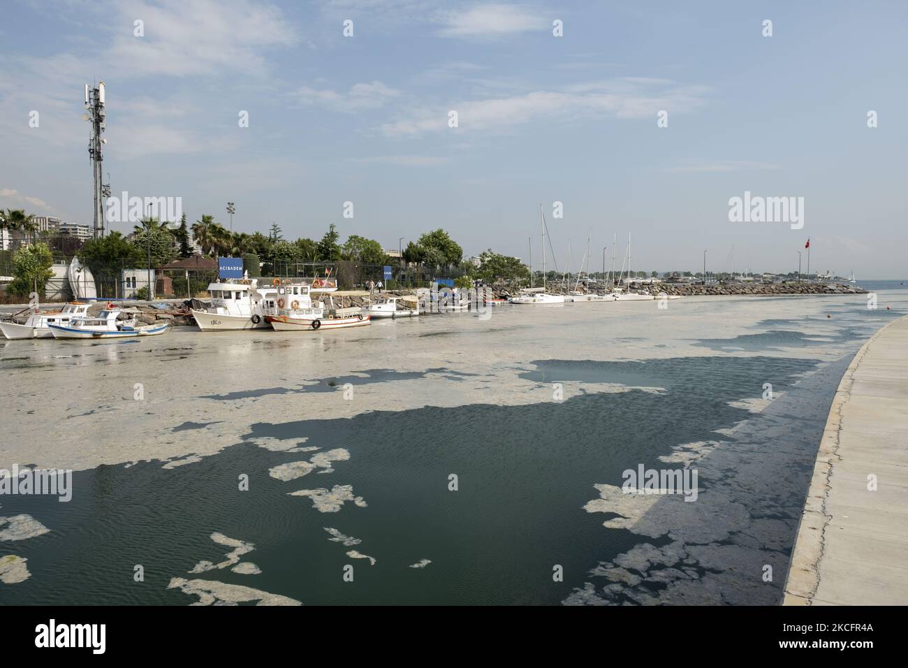 The photo shows mucilage covers surface of the Marmara Sea, coast of ...