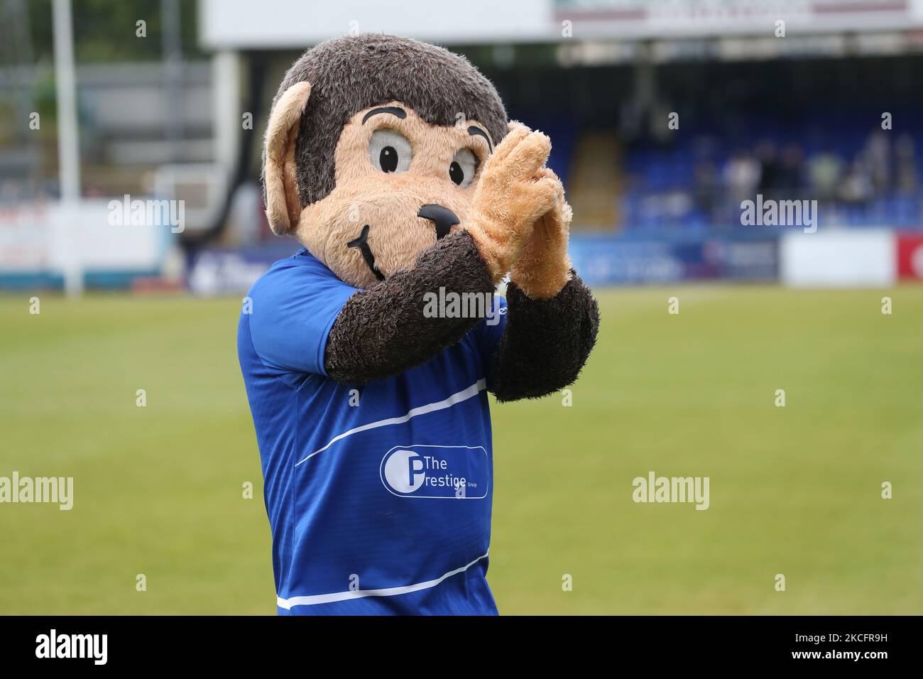 H'angus the Hartlepool United mascot during the Vanarama National ...