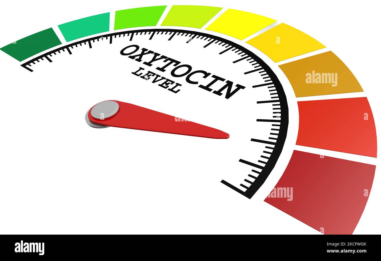 Oxytocin level measuring scale with color indicator, 3d rendering Stock Photo - Alamy