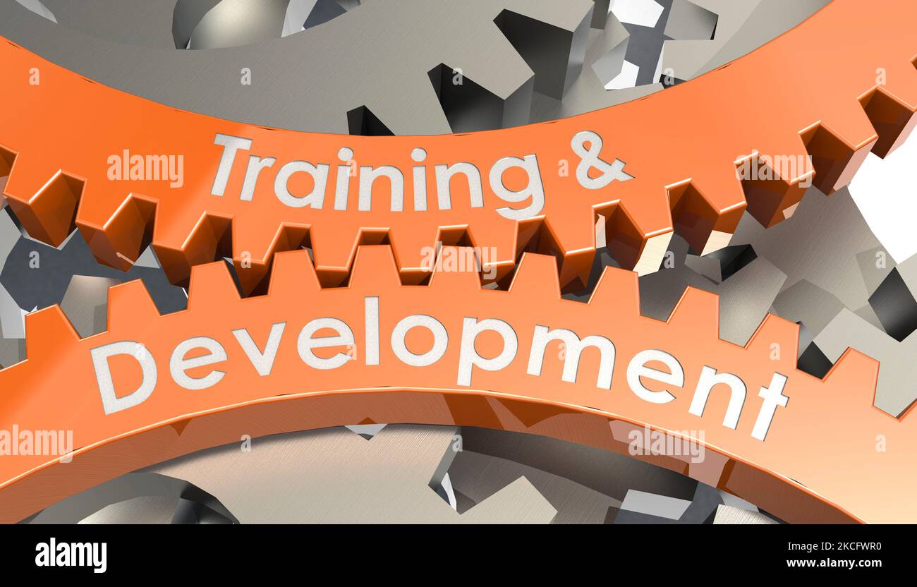 Training and development word on gears, 3d rendering Stock Photo - Alamy