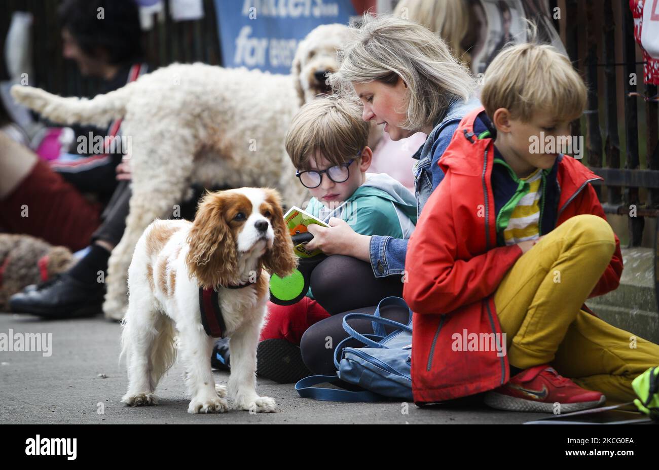 Protestors take part in a library read-in outside Whiteinch Library on ...