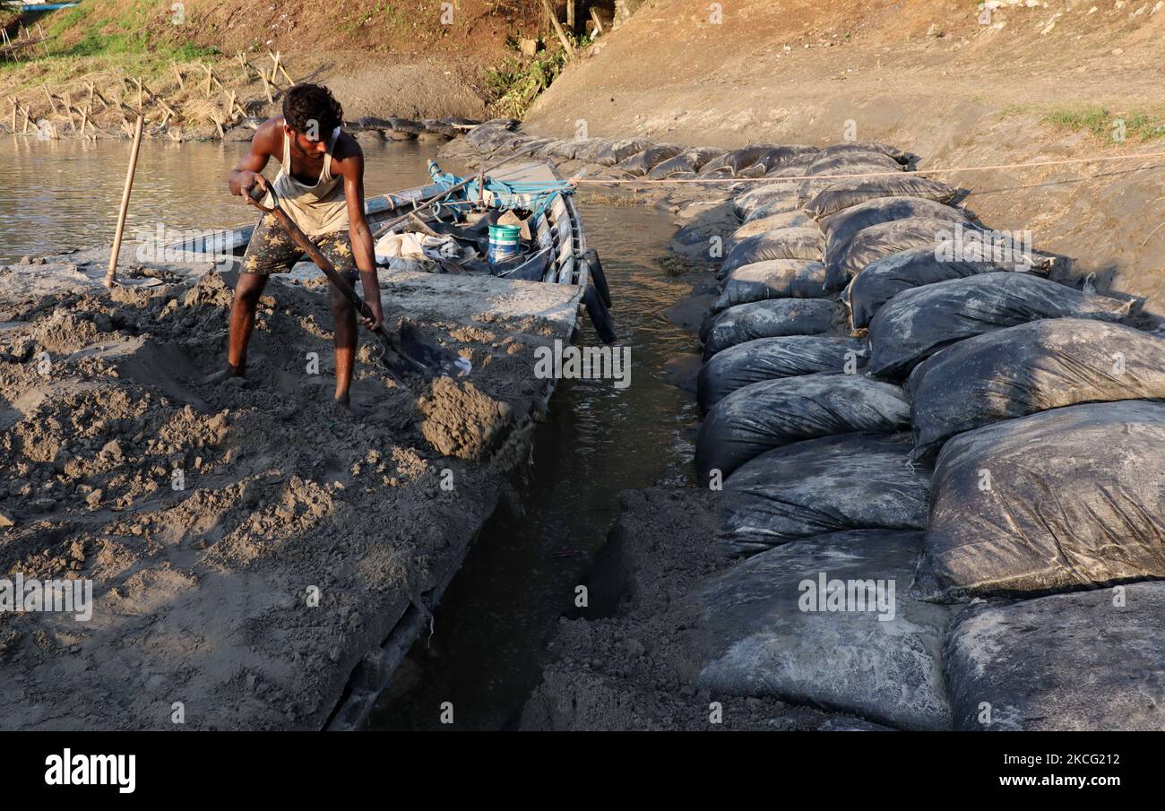 Labourers working in the banks of Brahmaputra river to prevent soil ...