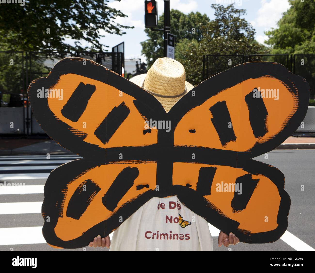A woman in a monarch butterfly costume crosses H Street NW to a DACA ...