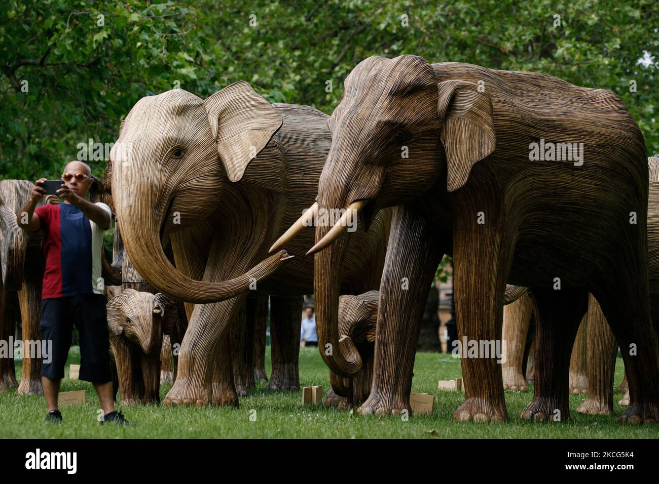 A man takes a photograph with life-size sculptures of a herd of Asian ...