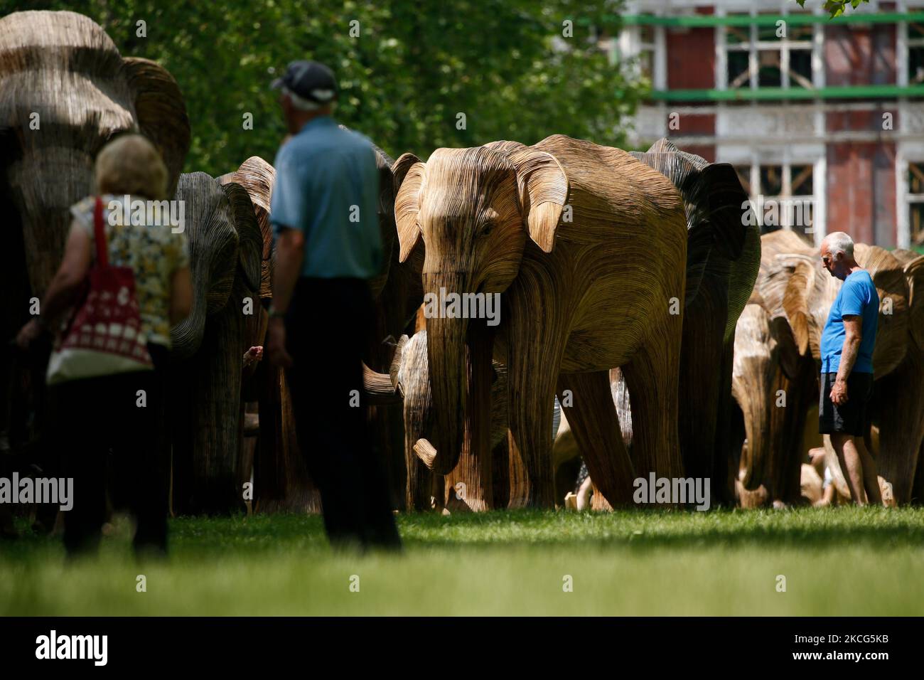 People look at life-size sculptures of a herd of Asian elephants on ...