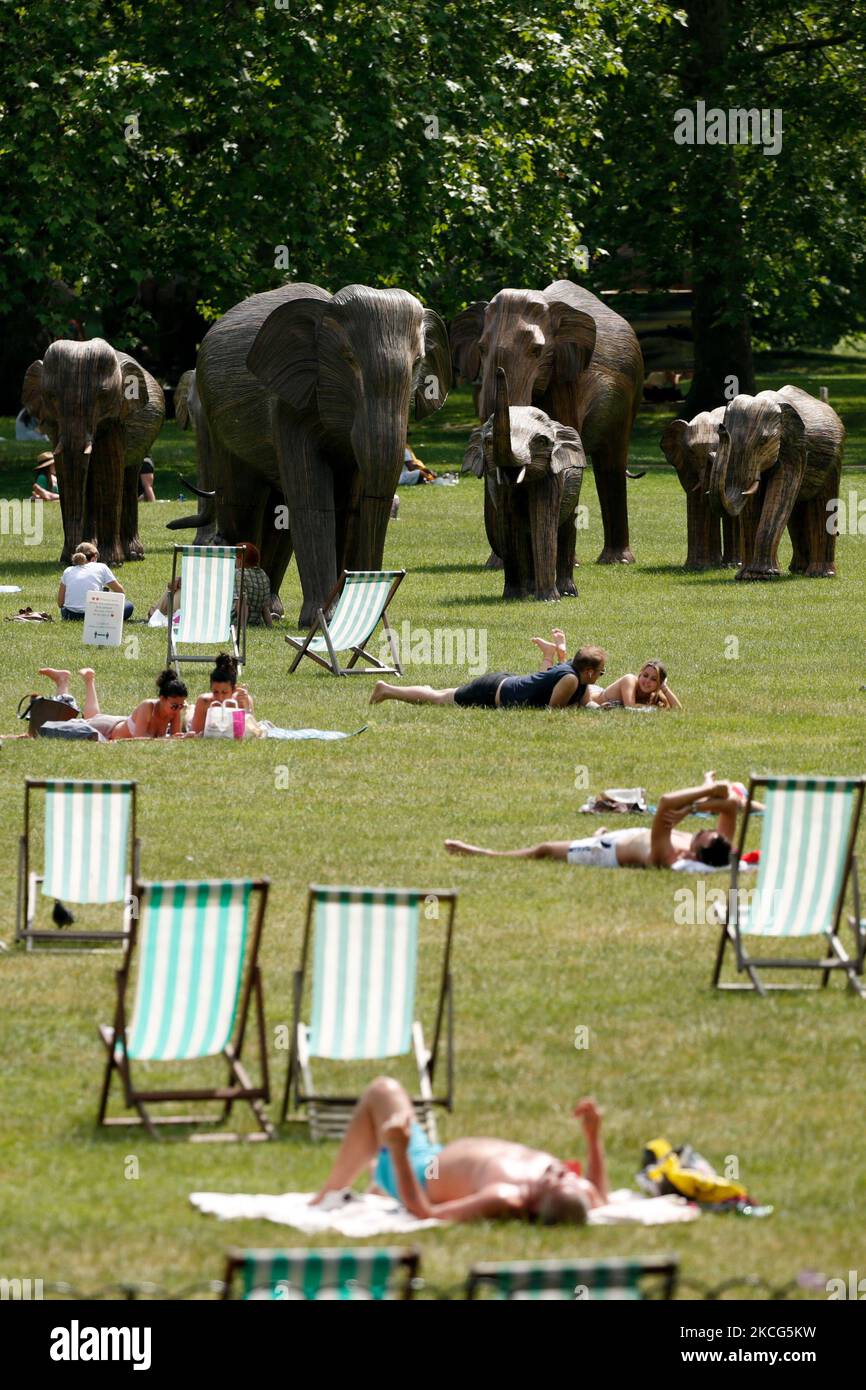 People sunbathe beside life-size sculptures of a herd of Asian ...