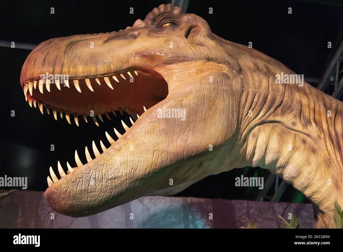 A replica of a dinosaur of during the great DINO WORLD exhibition at ...