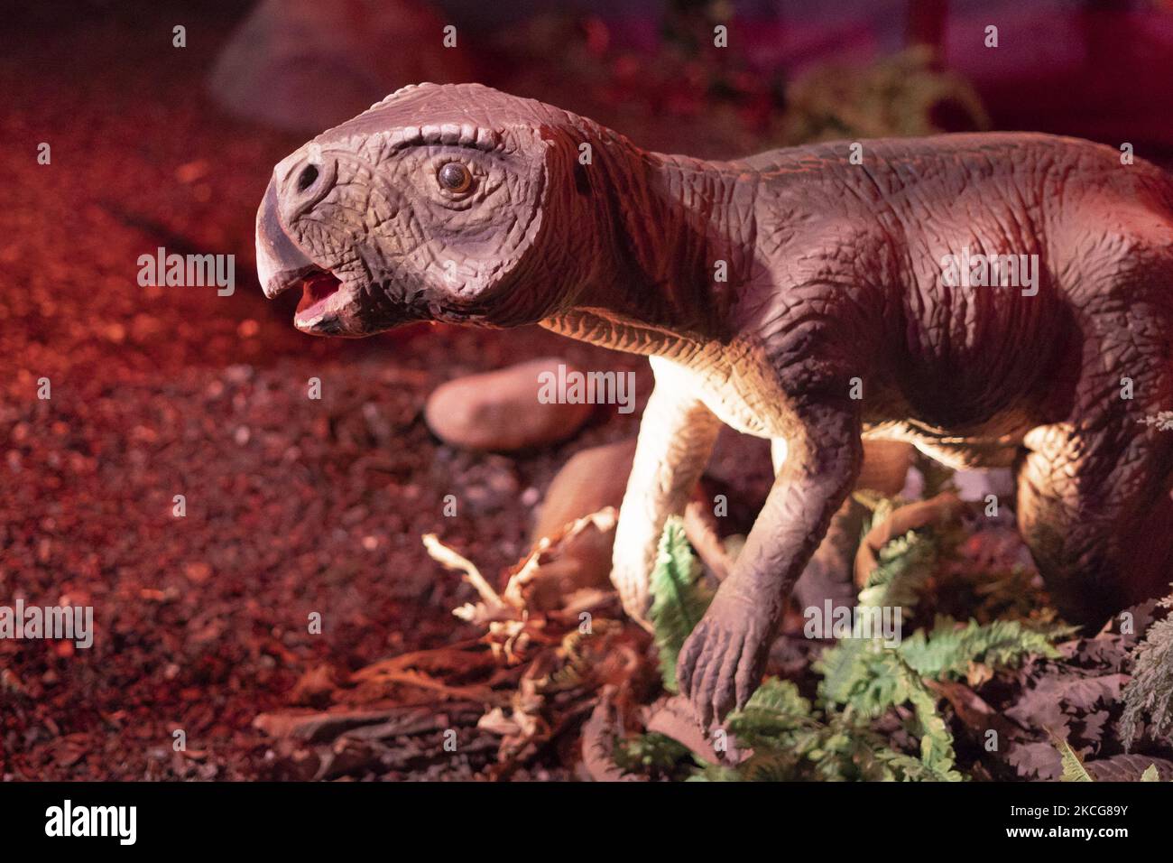 A replica of a dinosaur of during the great DINO WORLD exhibition at ...