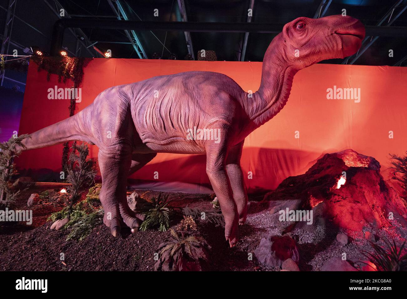 A replica of a dinosaur of during the great DINO WORLD exhibition at ...