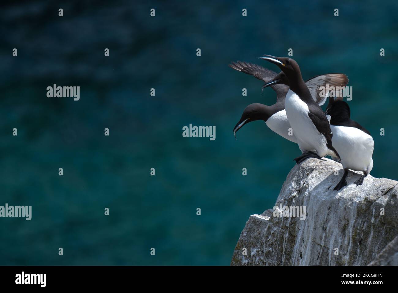 Two uninhabited little islands hi-res stock photography and images - Alamy