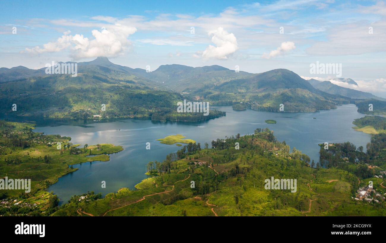 Top view of lake among tea estate in the mountains. Tea plantations ...