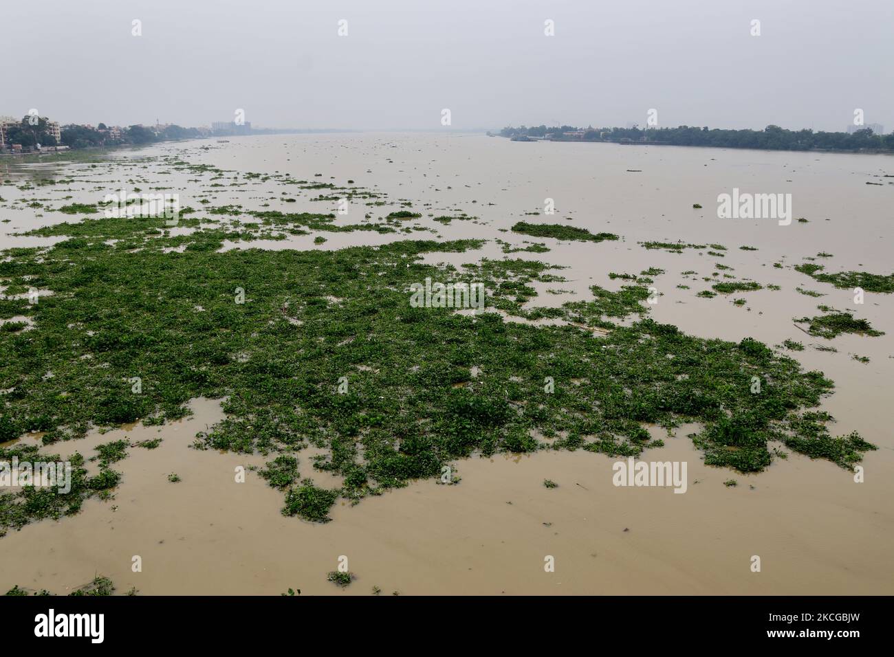 The polluted Ganges river as water level of Ganges river increases due ...