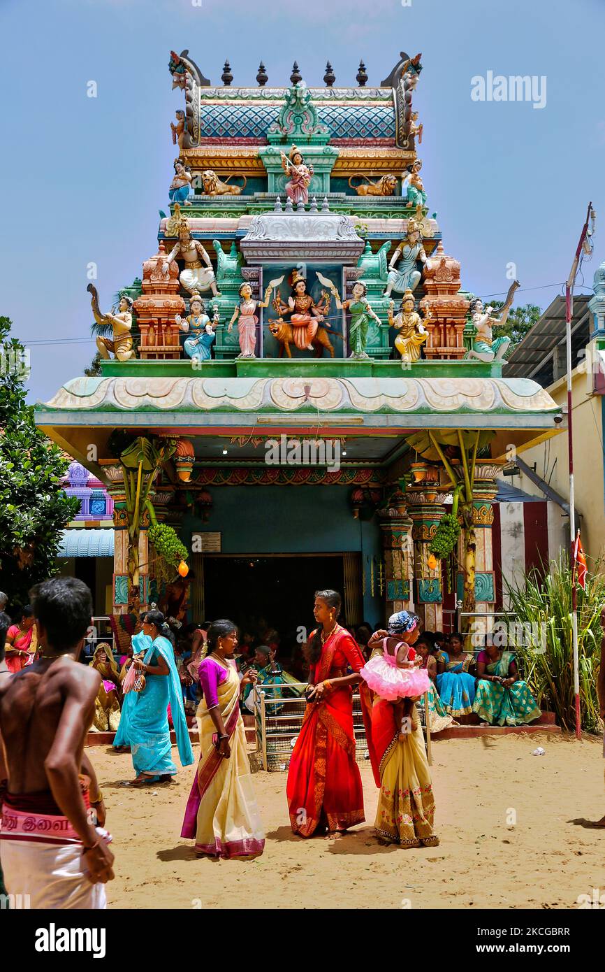 Tamil Hindu devotees celebrate the Amman Ther Thiruvizha Festival at ...