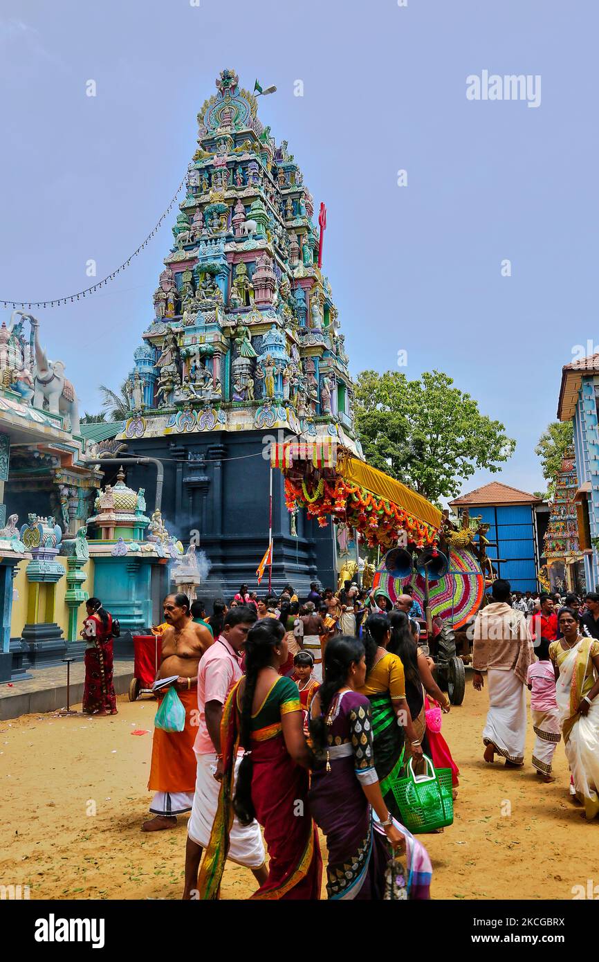 Tamil Hindu devotees celebrate the Amman Ther Thiruvizha Festival at ...