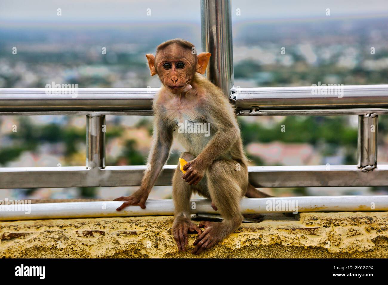 Karttikeyan hi-res stock photography and images - Alamy