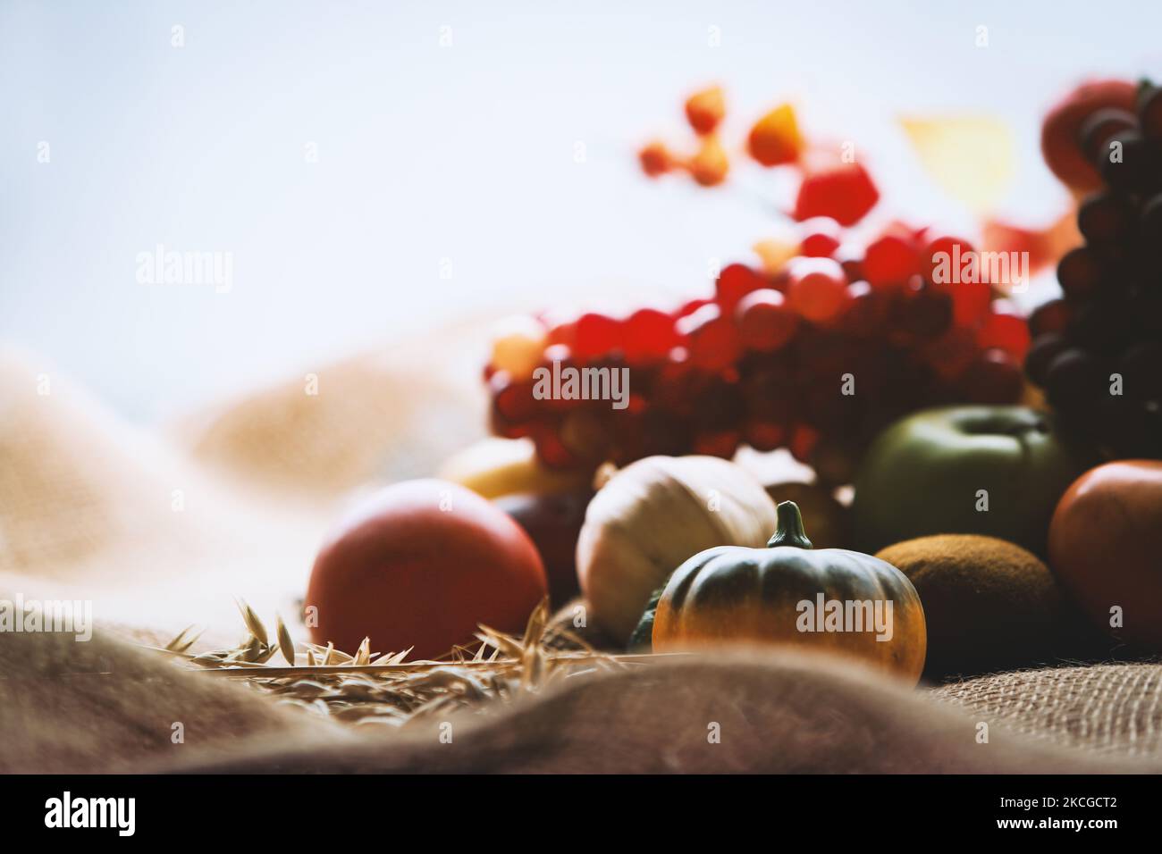 Festival of grape harvest and autumn fruits autumn fruits hi-res stock ...