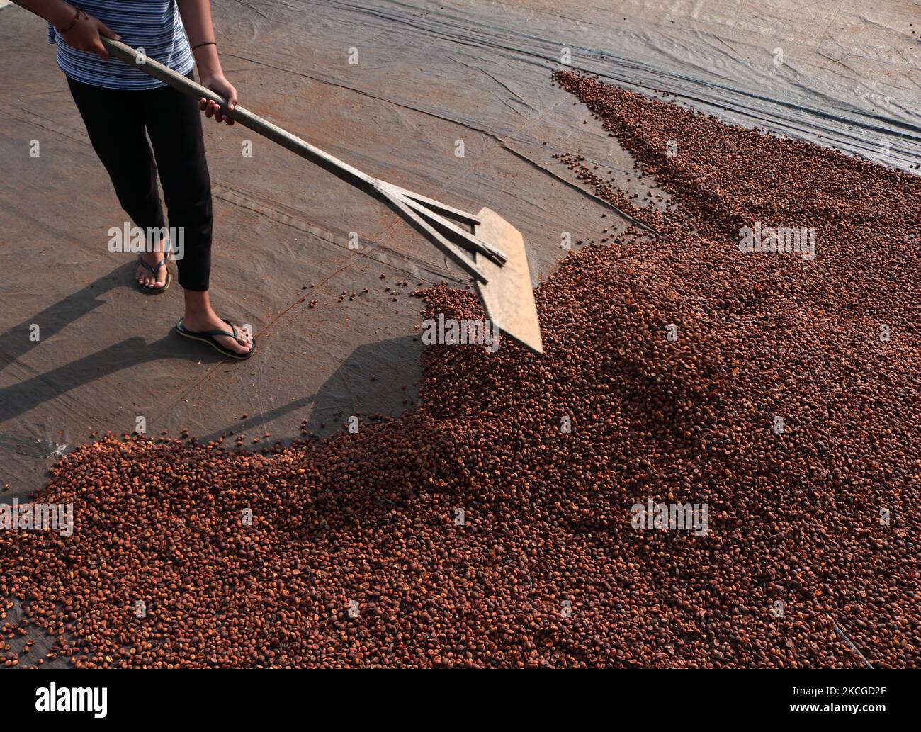 Dampit village hi-res stock photography and images - Alamy