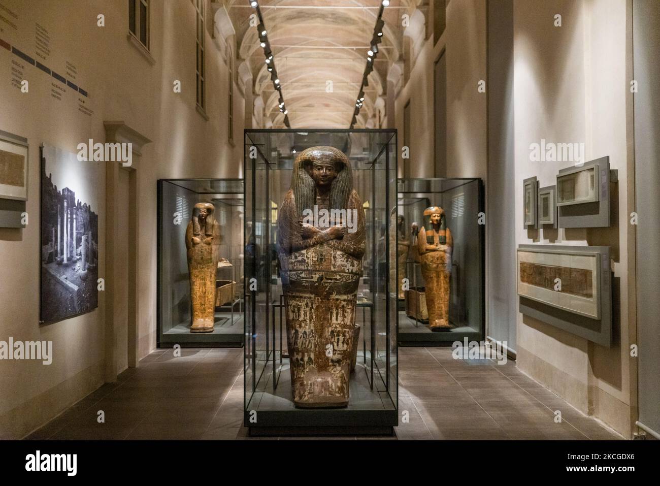 The Egyptian Museum opens to the public "In search of Life", a new ...