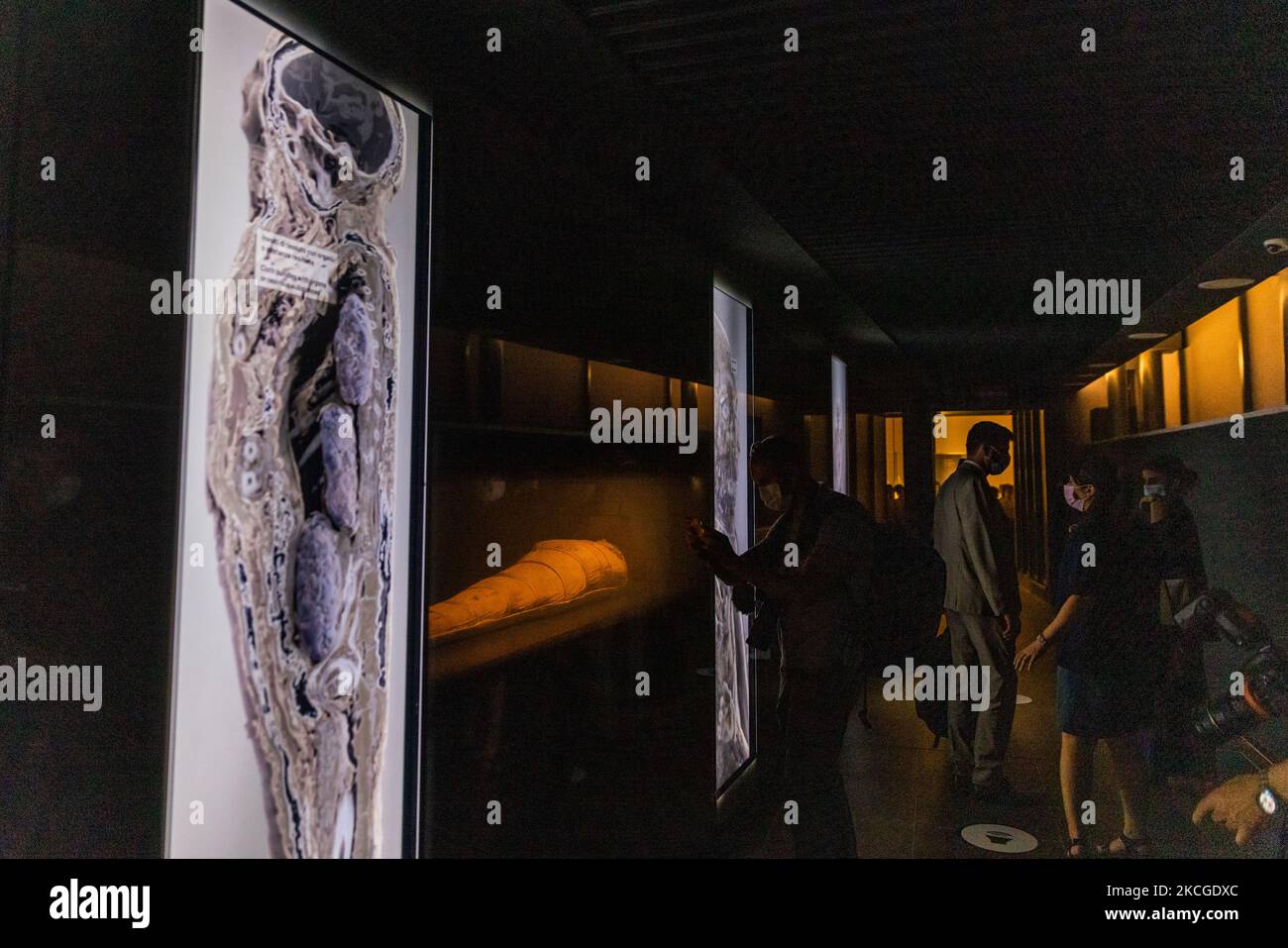 The Egyptian Museum opens to the public "In search of Life", a new ...