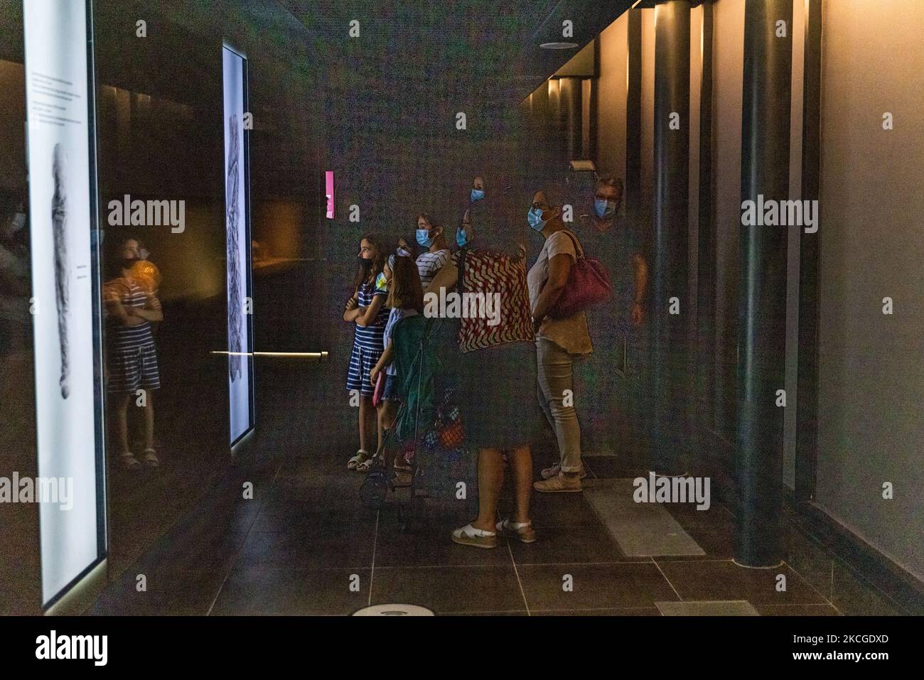 The Egyptian Museum opens to the public "In search of Life", a new ...