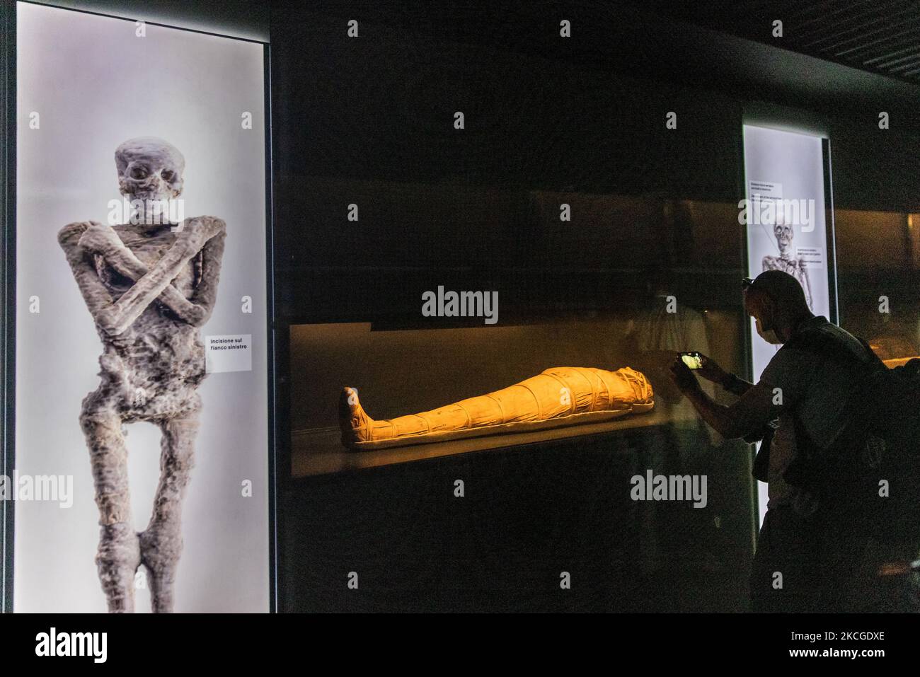 The Egyptian Museum opens to the public "In search of Life", a new ...