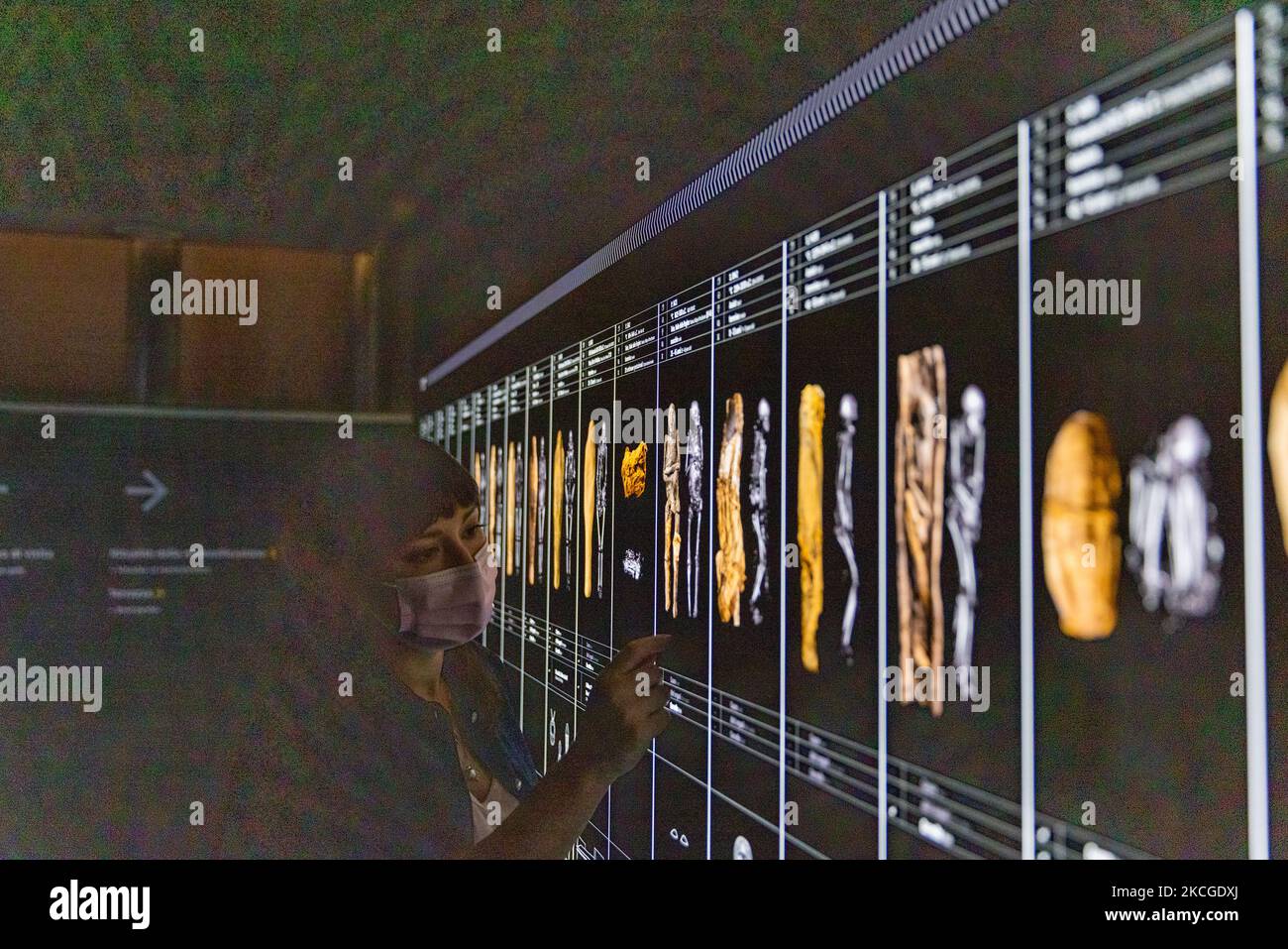 The Egyptian Museum opens to the public "In search of Life", a new ...