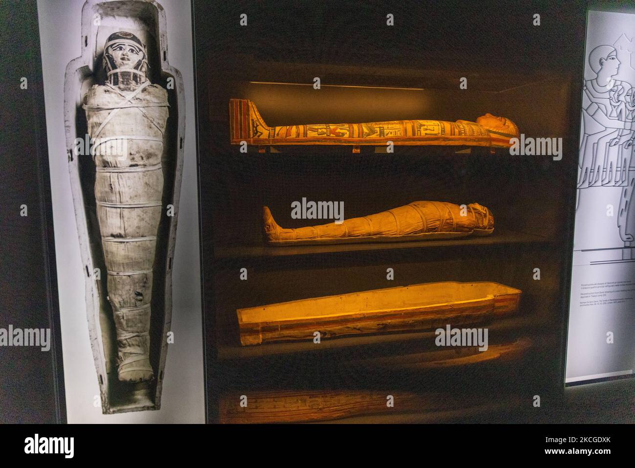 The Egyptian Museum opens to the public "In search of Life", a new ...