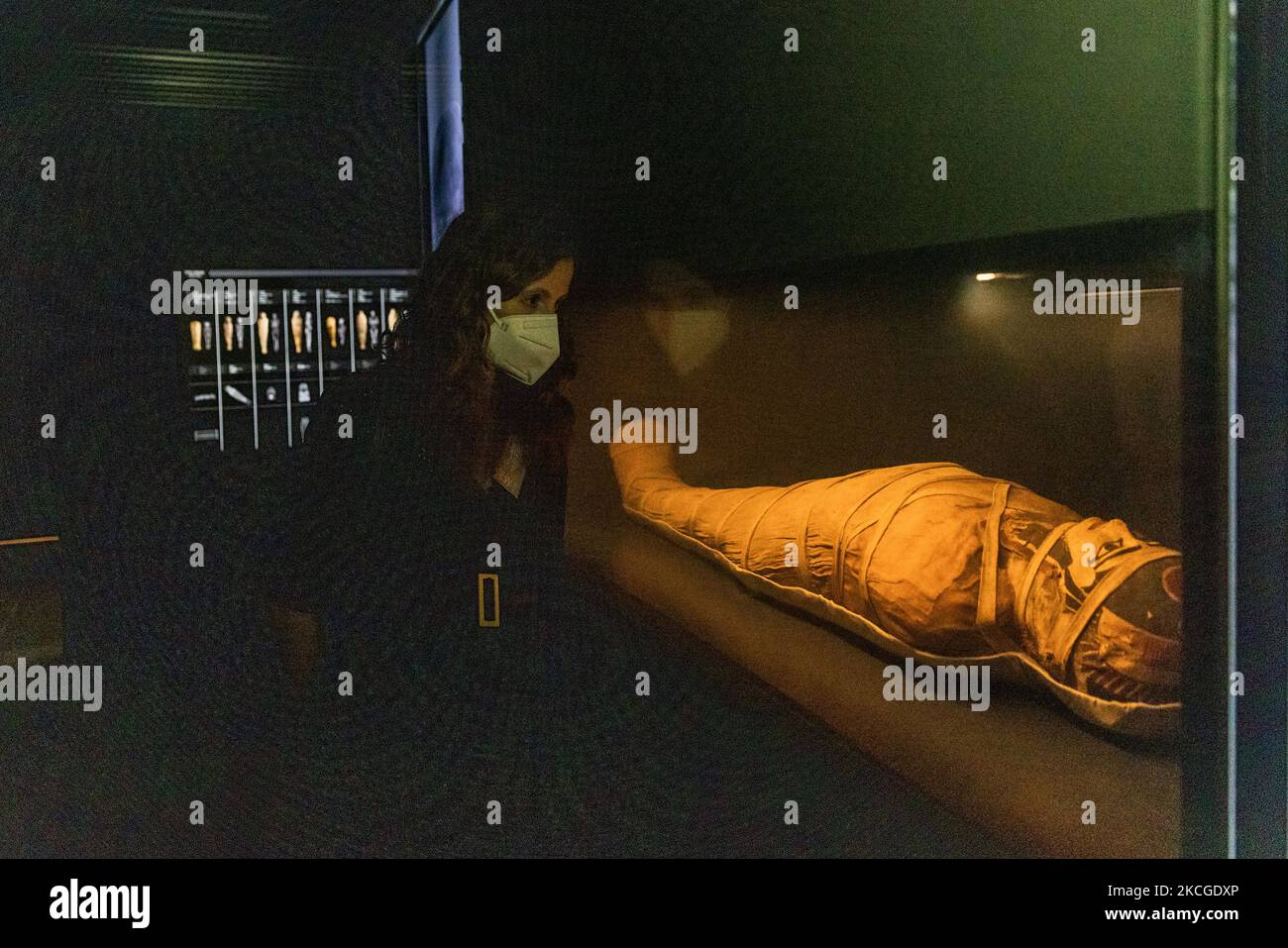 The Egyptian Museum opens to the public "In search of Life", a new ...