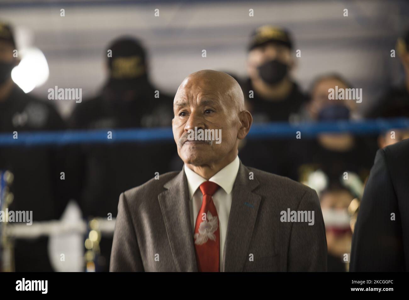 Lupe pintor hi-res stock photography and images - Alamy