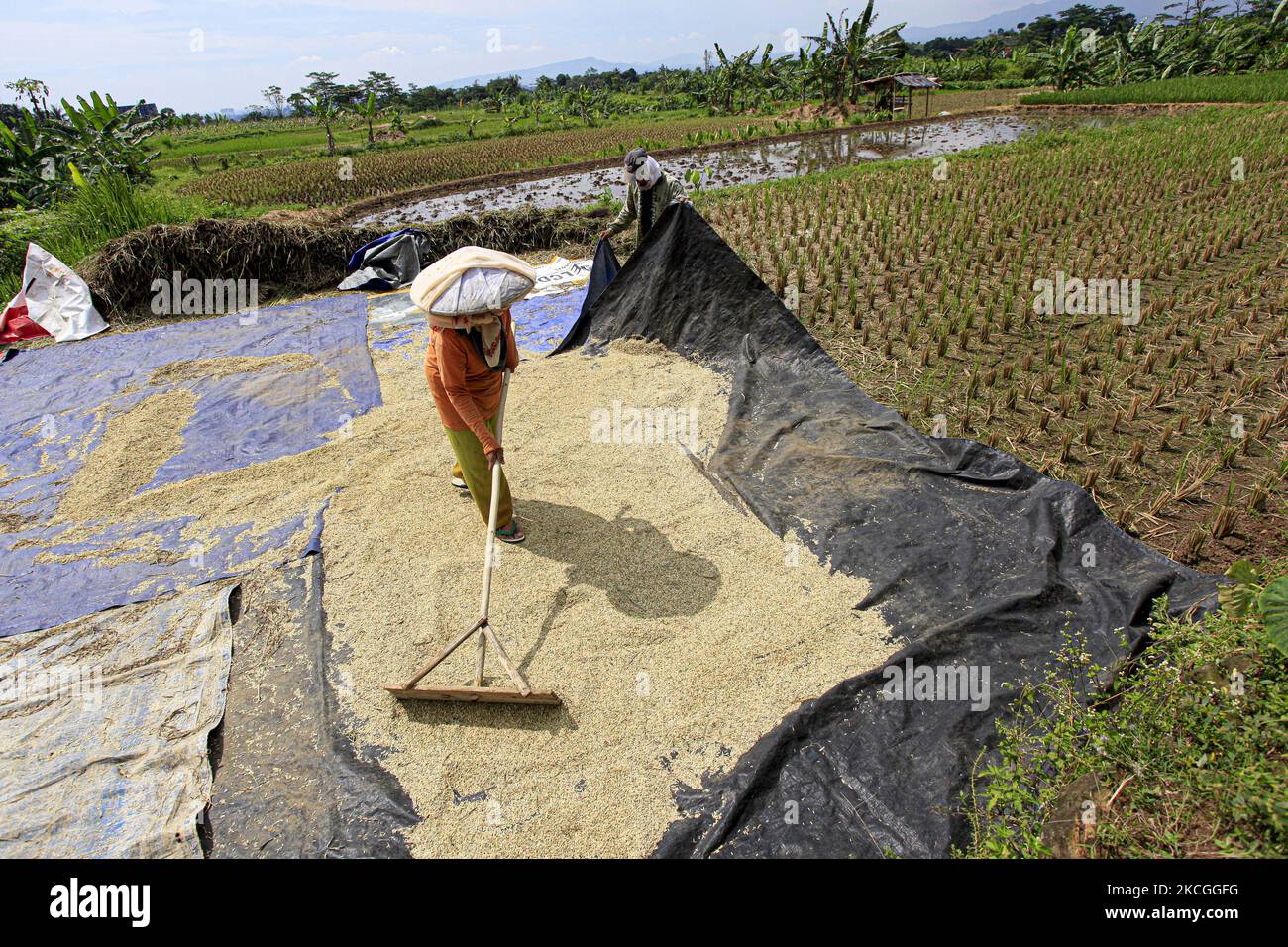 2 27 percent hi-res stock photography and images - Alamy