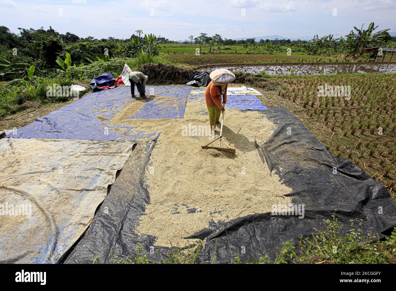 Farmer level hi-res stock photography and images - Alamy